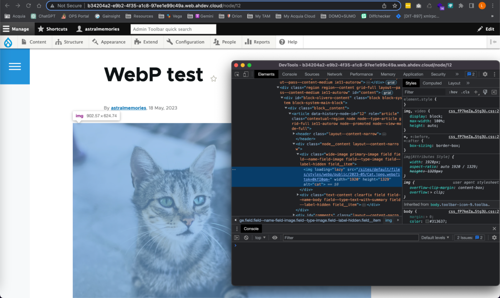Render JPEG, PNG, and GIF images as WebP in Drupal – Code Snippets